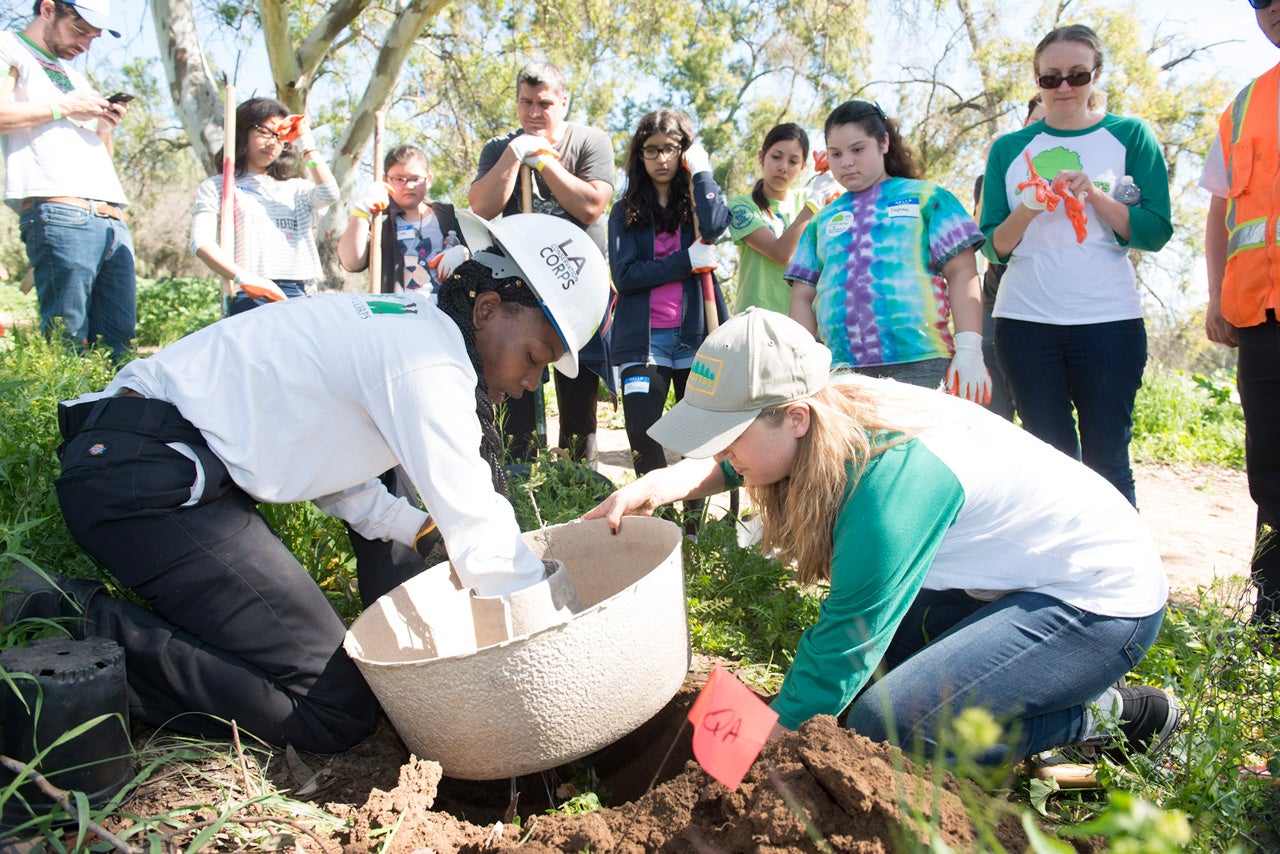 This Biodegradable Paper Donut Could Let Us Reforest The Planet - Fast ...