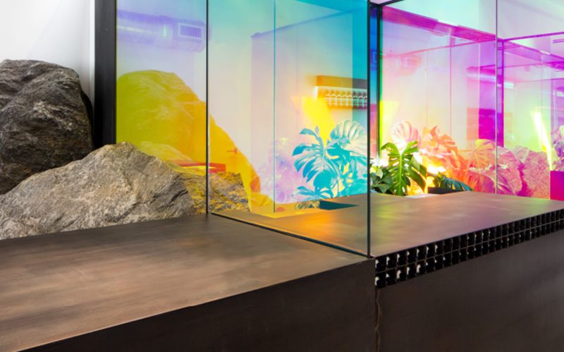 The Weird And Fascinating Story Behind Design's Iridescence Craze ...