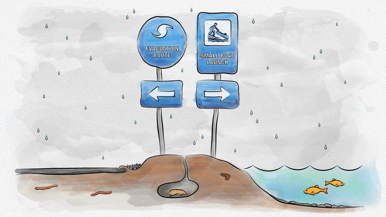 Turning Flood Waters Into Liquid Assets - Fast Company