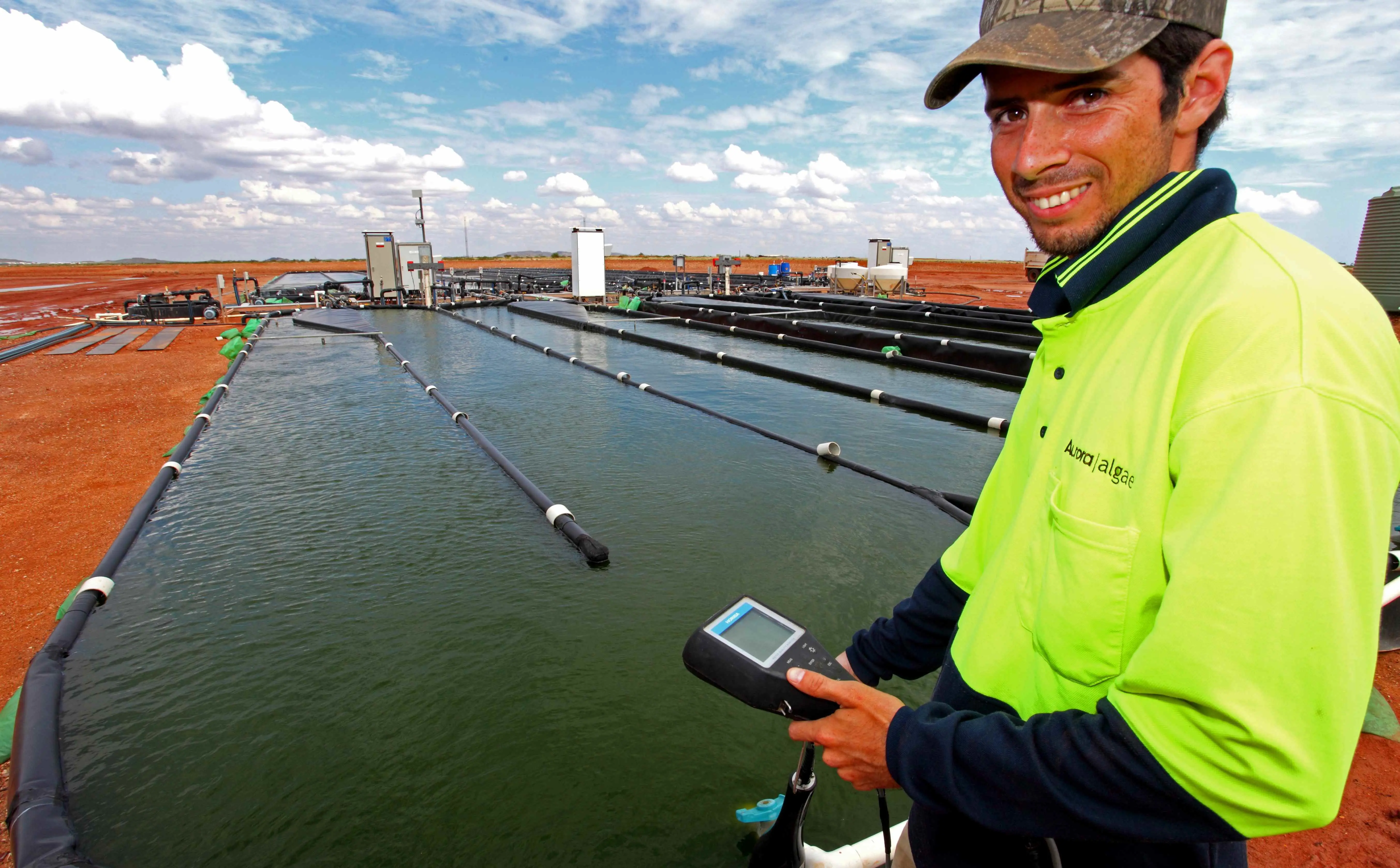 Where's My Algae-Powered Car? - Fast Company