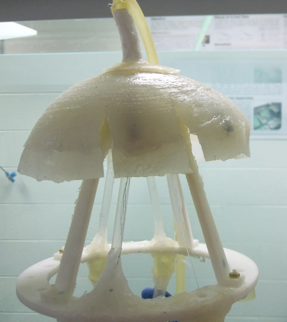 Robojelly: A Robotic Jellyfish To Monitor The Oceans - Fast Company