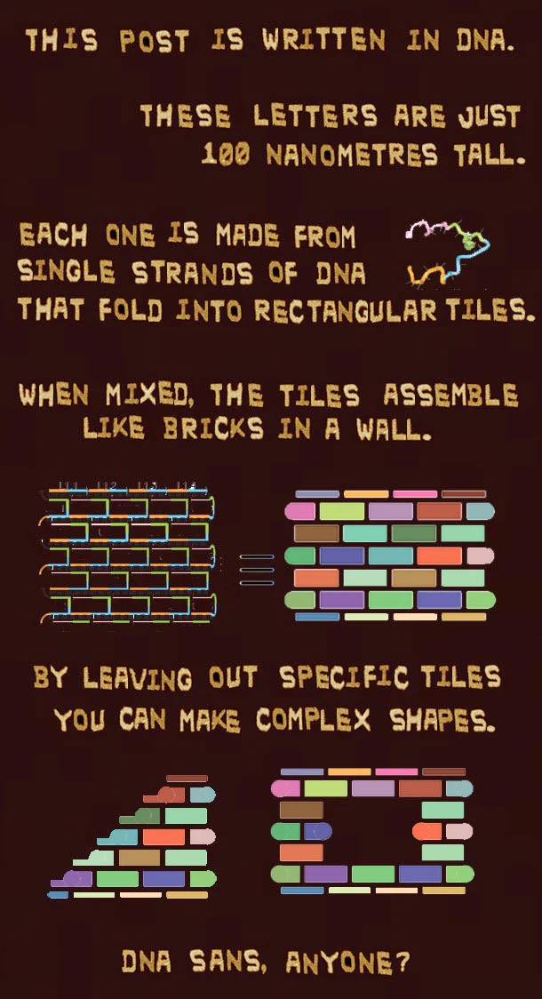 This Font Made Of DNA Isn't Just For Kicks - Fast Company
