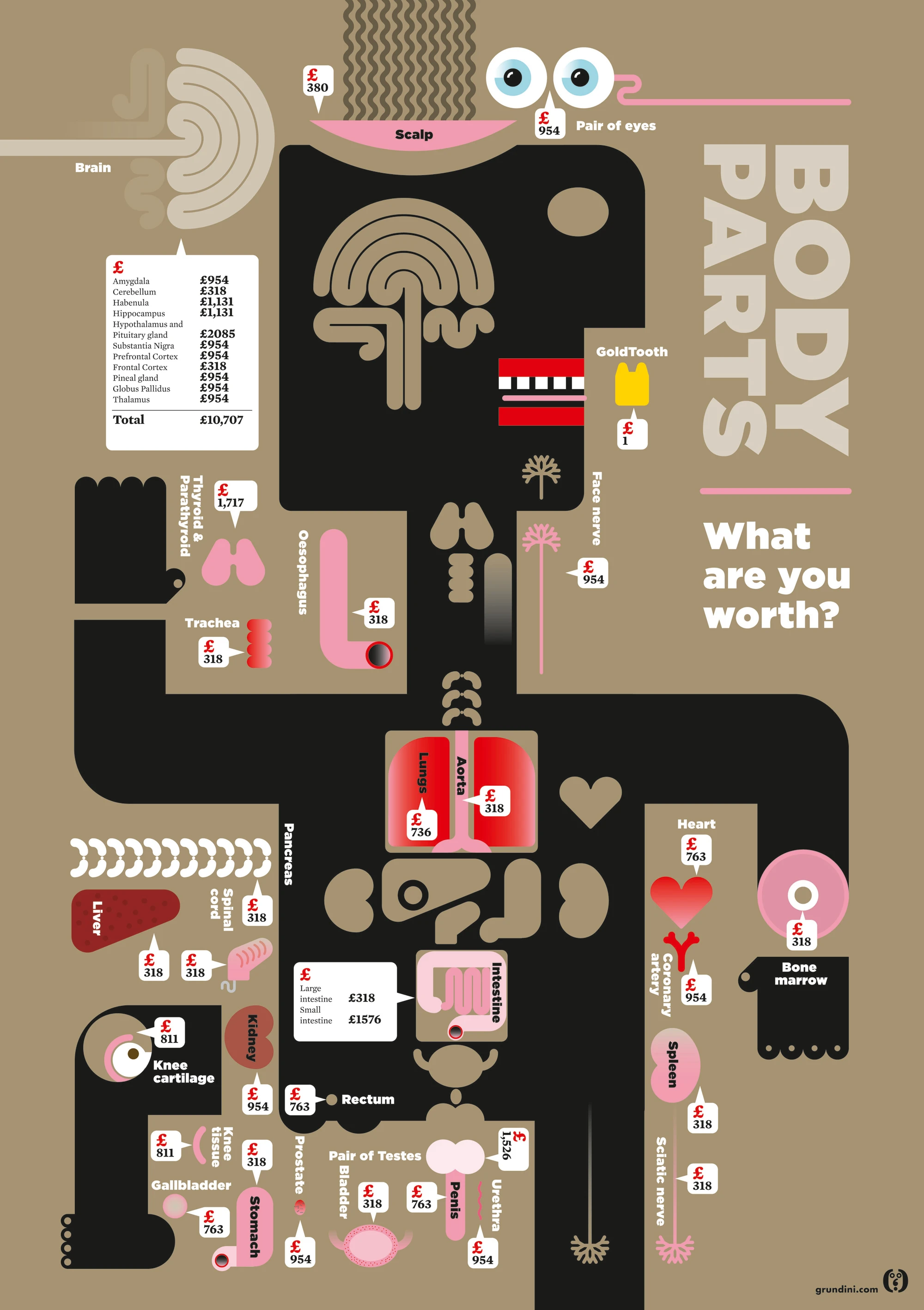 9 Of The World's Most Inspiring Infographics - Fast Company