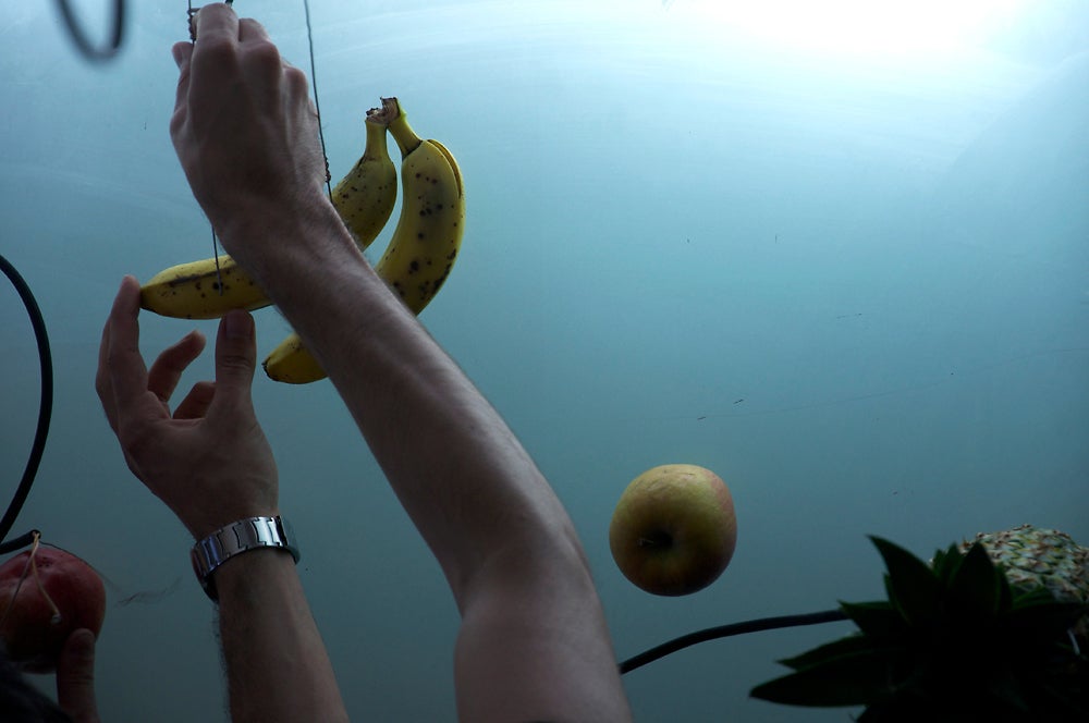 What Fruit Sounds Like, When You Turn Its Natural Electricity Into ...