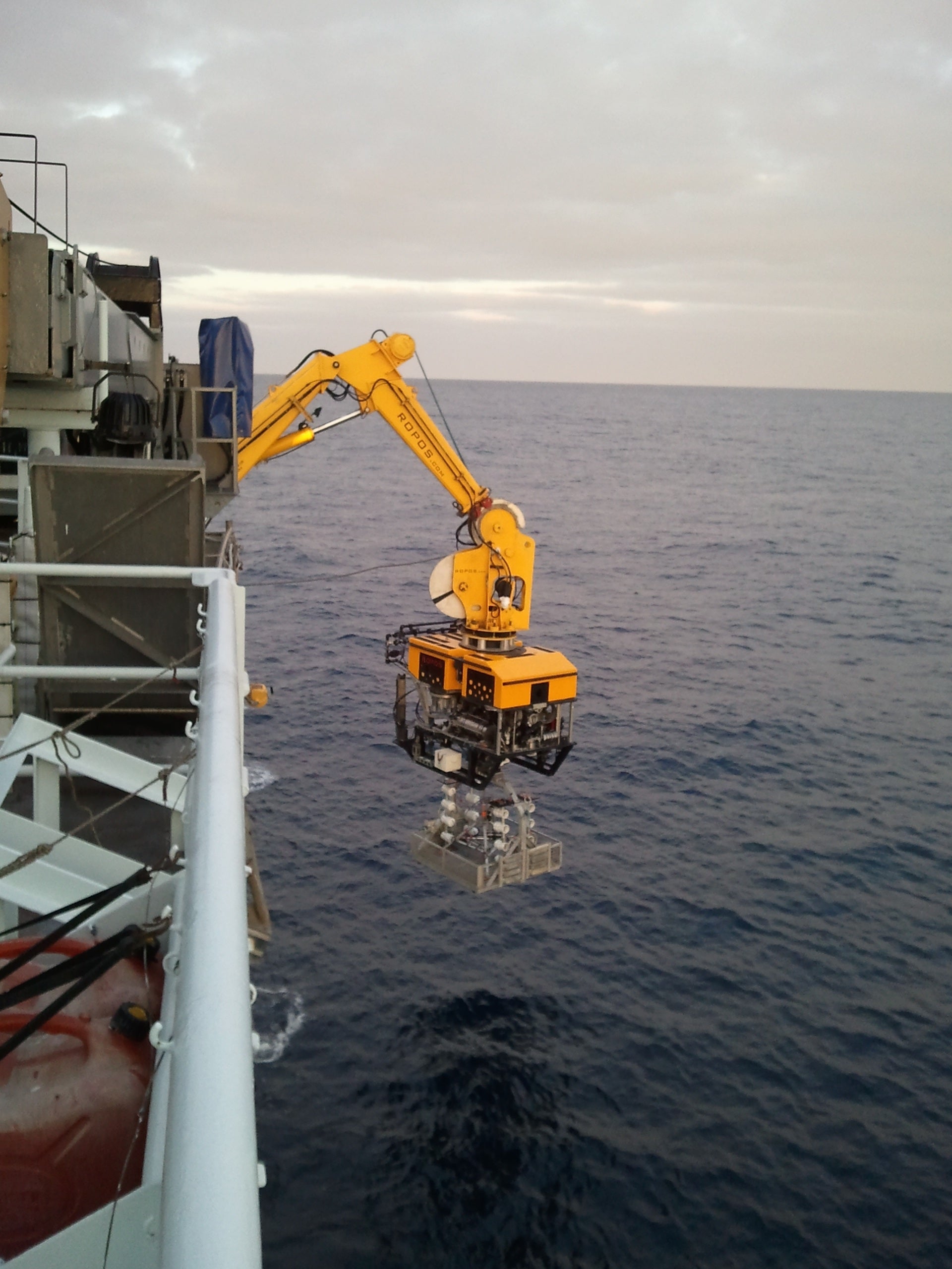 Sensorbots: Swarms Of Sea-Crawling Robots To Explore Our Oceans' Depths ...