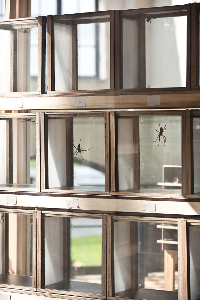 Yes, It's Real: A Bio-Factory That Farms Spider Silk - Fast Company