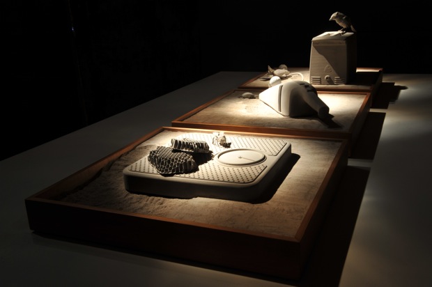 3-D Printing From Beyond the Grave: Household Items Made From Dead ...