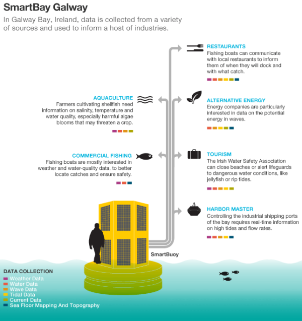 IBM's SmartBay Cloud-Computing Marine Research Tool Is Not Your Average ...