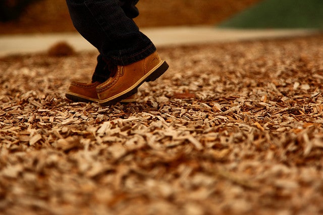 Renmatix Unlocks The Secret To Cheap, Abundant Biofuels and ...