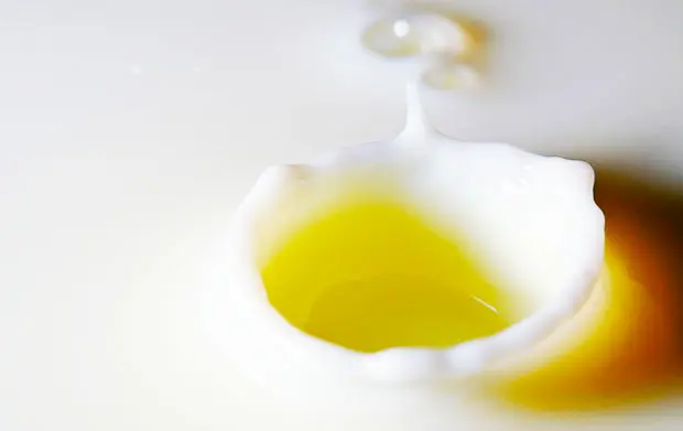 Genetically Modified Cows To Produce "Human" Milk - Fast Company