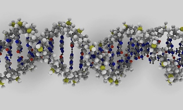 CSI Islamabad: The DNA Identity Test Of Osama Bin Laden - Fast Company