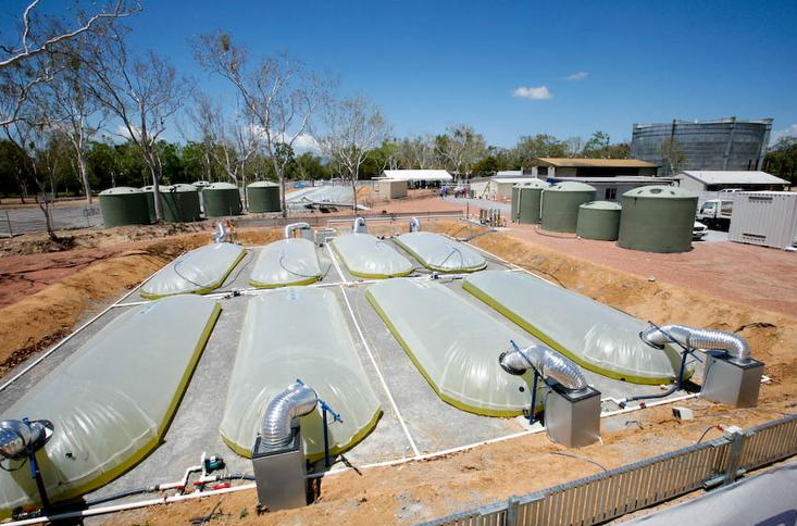 Dirty Coal And Algae Fuel: The Start Of A Beautiful Friendship - Fast ...