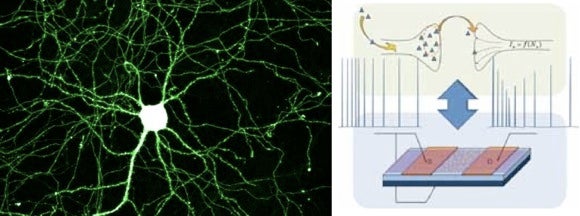 Robocalypse Alert: New Transistor Mimics Synapse Functions - Fast Company