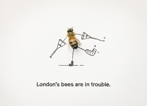 How Marketing May Save London's Bees - Fast Company