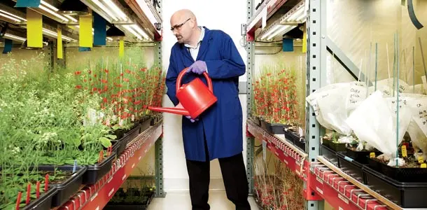 Blake Simmons On Creating Fuel From Plants - Fast Company