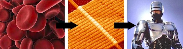 Electronics Made From Human Blood Cells Suggest Cyborg Interfaces ...