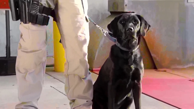 CIA's Revamped Website Has Flickr Stream, New Kids' Games, YouTube ...