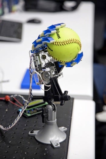 Cockroach Legs Could Mean Robots Won't Have Butter Fingers - Fast Company
