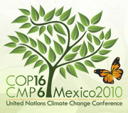 Businesses Lead by Example at COP 16 - Fast Company