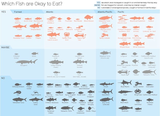 Handy Chart Makes Fish Decisions Easy - Fast Company