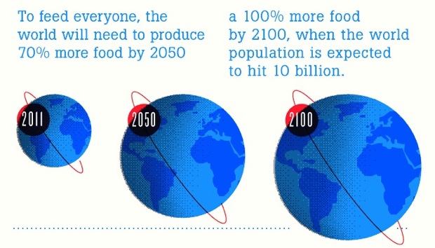 Infographic: People Are Starving, But There Is Enough Food To Go Around ...