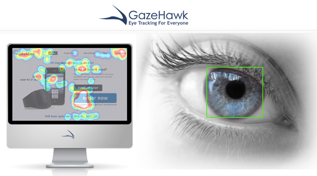Business Essentials: Eye-Trackers to Test Your Company's Homepage ...