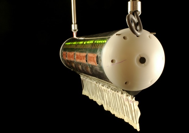 Robotic Ghost Knifefish Swims in Every Direction, Causes Brainiacs to ...