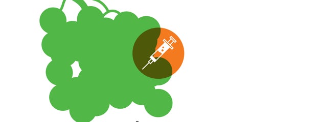 Infographic: All The Genetically Modified Food You're Eating - Fast Company