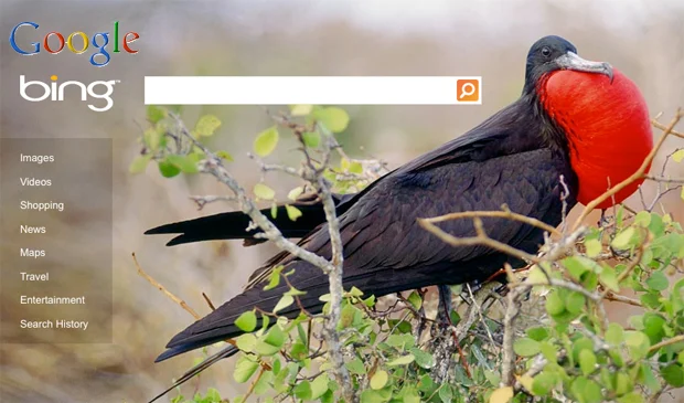 Google Steals Ideas From Bing, Bing Steals Market Share From Google ...