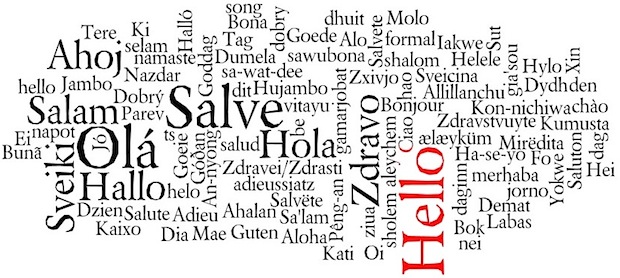 Hexidecimally Lingual: Websites Must Speak 16 Languages to Go Global ...