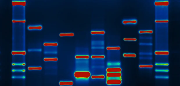 The Human Genome Project: How 23 Chromosomes Made An $800 Billion ...