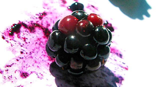 5 Lessons From RIM's Sticky BlackBerry Mess - Fast Company