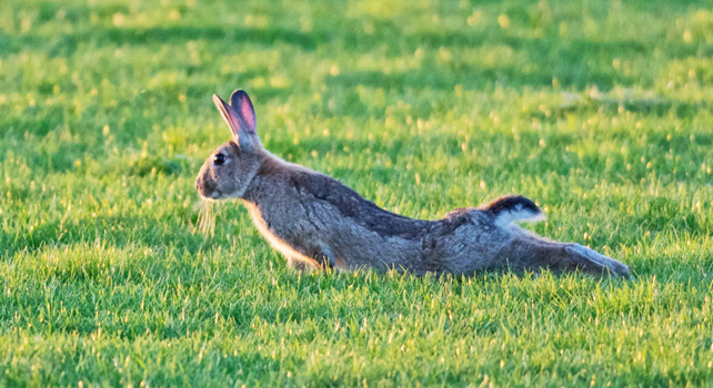 6 Exercises For Mastering Cultural Agility - Fast Company
