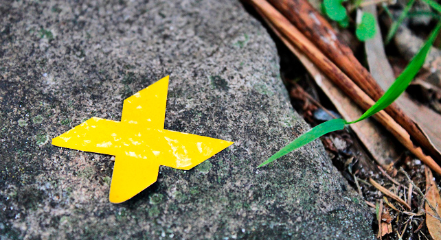 How To Set Wildly Important Goals, And What They'll Do For You - Fast ...