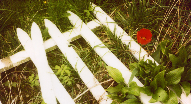 How A Drug-Related Tragedy Inspired Transformational Thinking - Fast ...