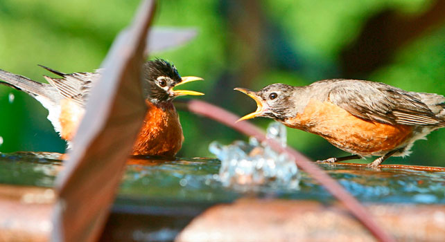 If Your Employees Are Squabbling, Your Company's Probably Standing ...