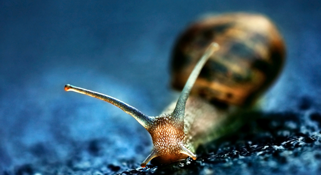 Why Every Monday Matters - Fast Company