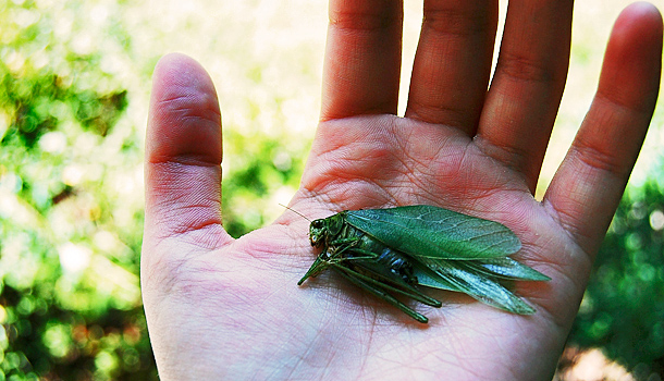 Mentors Are Useless-But They Don't Have To Be - Fast Company