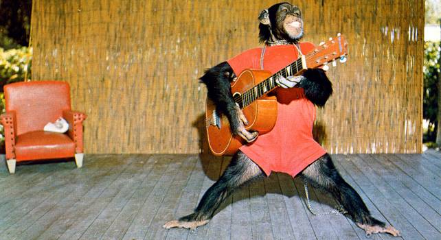 With Guerrilla Networking, A Little Monkey Business Will Get You ...