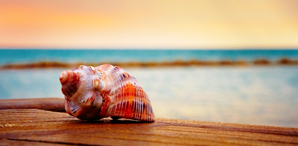 Education's Economics Of Scarcity - Fast Company