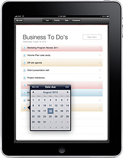 CEOs Love Their iPads - Fast Company