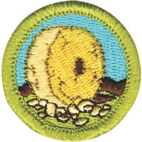 Boy Scouts Updating With New Merit Badges, Including Invention - Fast ...