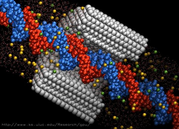 IBM, Roche to Make DNA Sequencing Cheap, Fast, and World-Changing ...