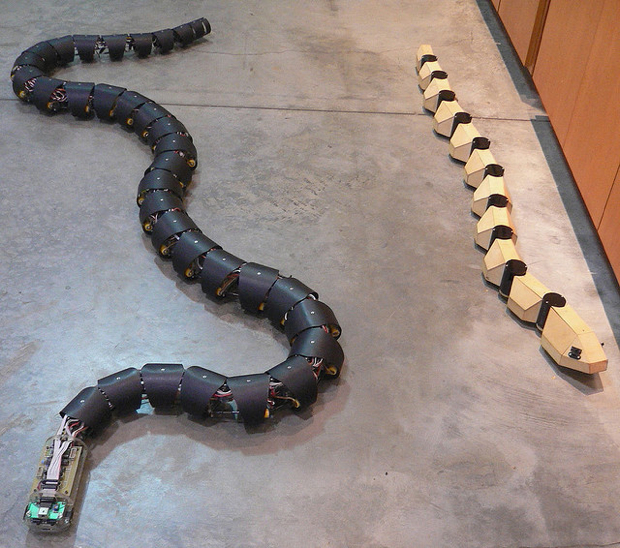Robotic Snakes On a Plane With Aerial Drones? - Fast Company