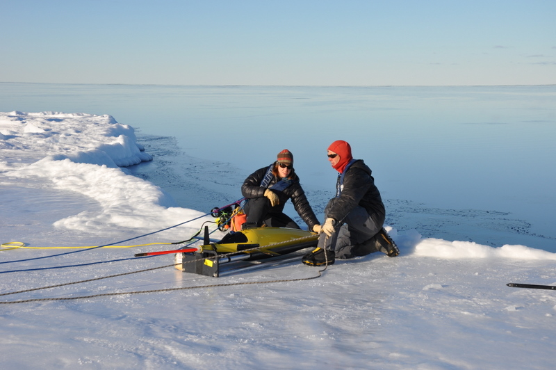 Meet the Remote-Controlled Sea Robots That Can Explore Antarctica ...
