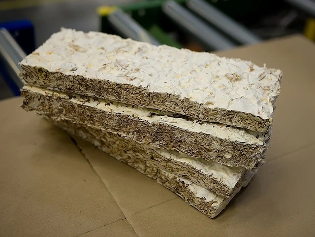 Steelcase Goes DIY With Ecovative Home-Grown Packaging (It's Edible ...