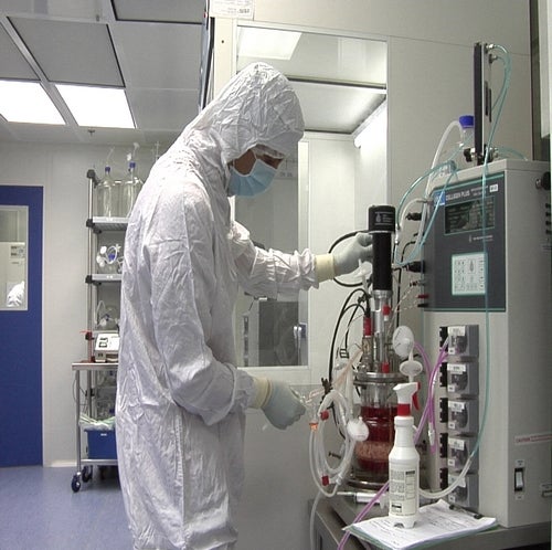 Stem Cells From Placentas Show Potential in Treating Heart Disease ...