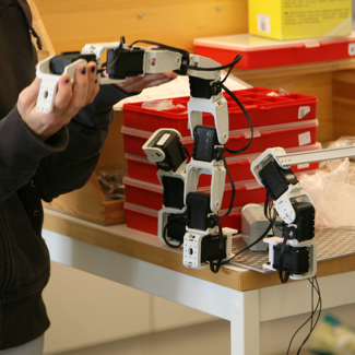 Dancing Robot Swan So Beautiful You Will Cry - Fast Company