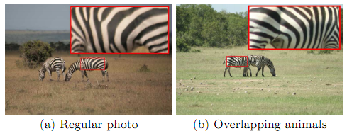 Nature's UPC Code: Zebras - Fast Company