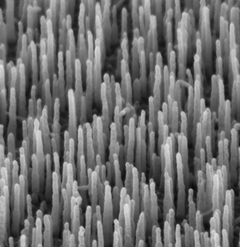 Pulse Power: New Nanogenerator Will One Day Create Energy From Your ...